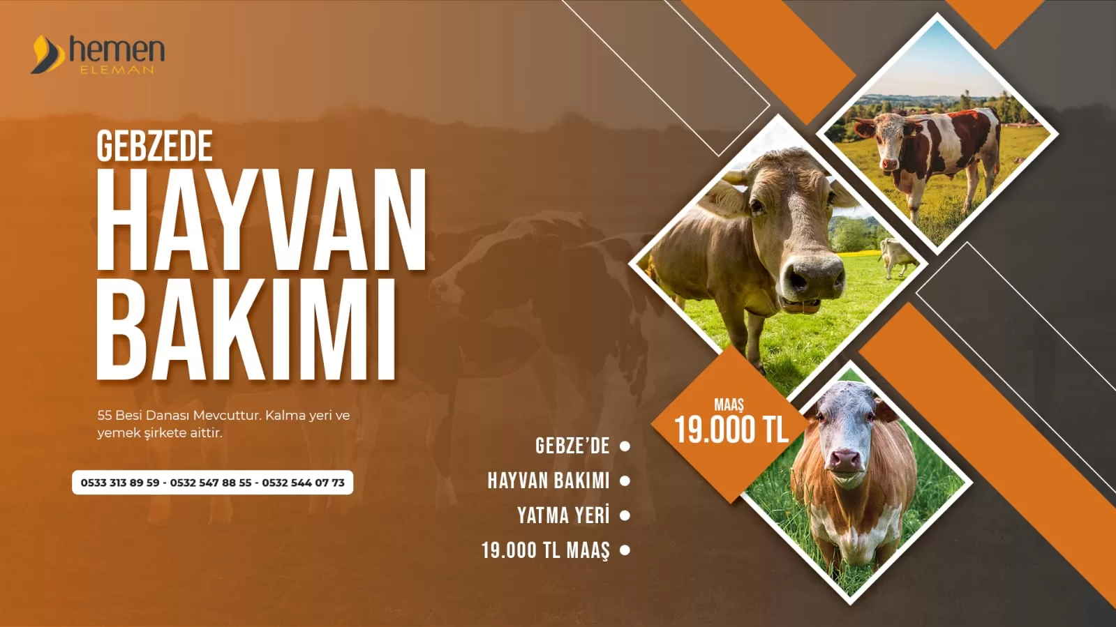 HAYVAN BAKIMI, GEBZE - Hemen Eleman